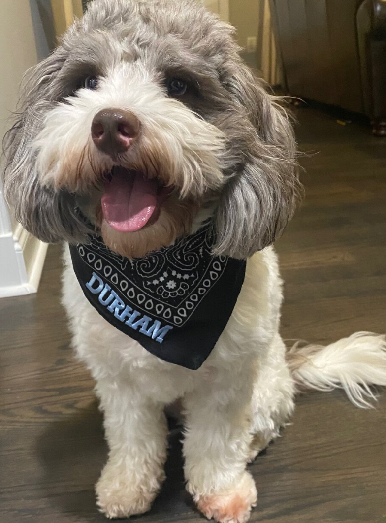 Durham Dogs – Hometown Apparel